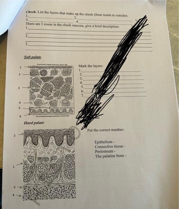 Solved please label the diagram this is very important and | Chegg.com