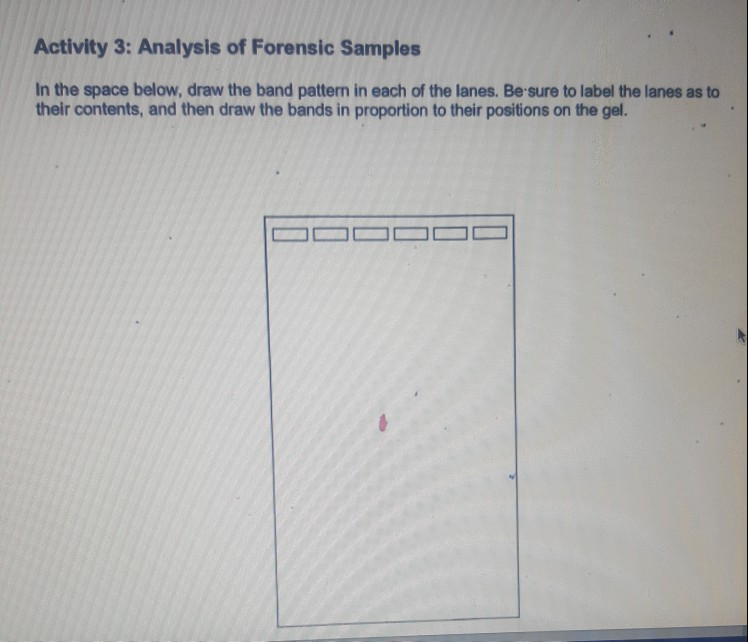 Table 1: DNA Fragment Migration Distances Hindill | Chegg.com