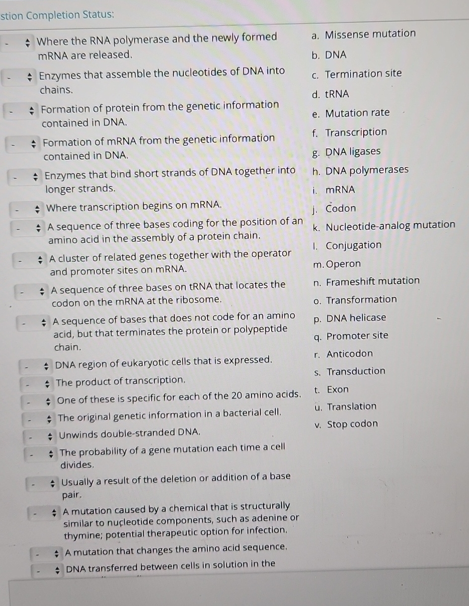 Solved stion Completion Status:Where the RNA polymerase and | Chegg.com