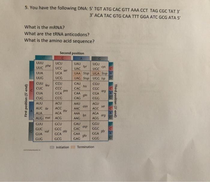 Solved 5. You have the following DNA: 5' TGT ATG CAC GTT AAA | Chegg.com