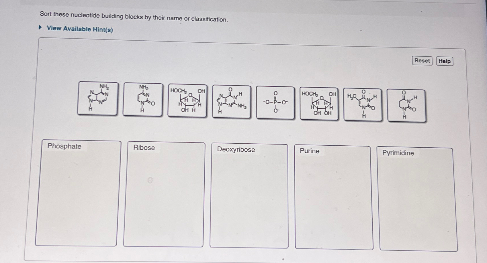 Solved Sort these nucleotide building blocks by their name | Chegg.com
