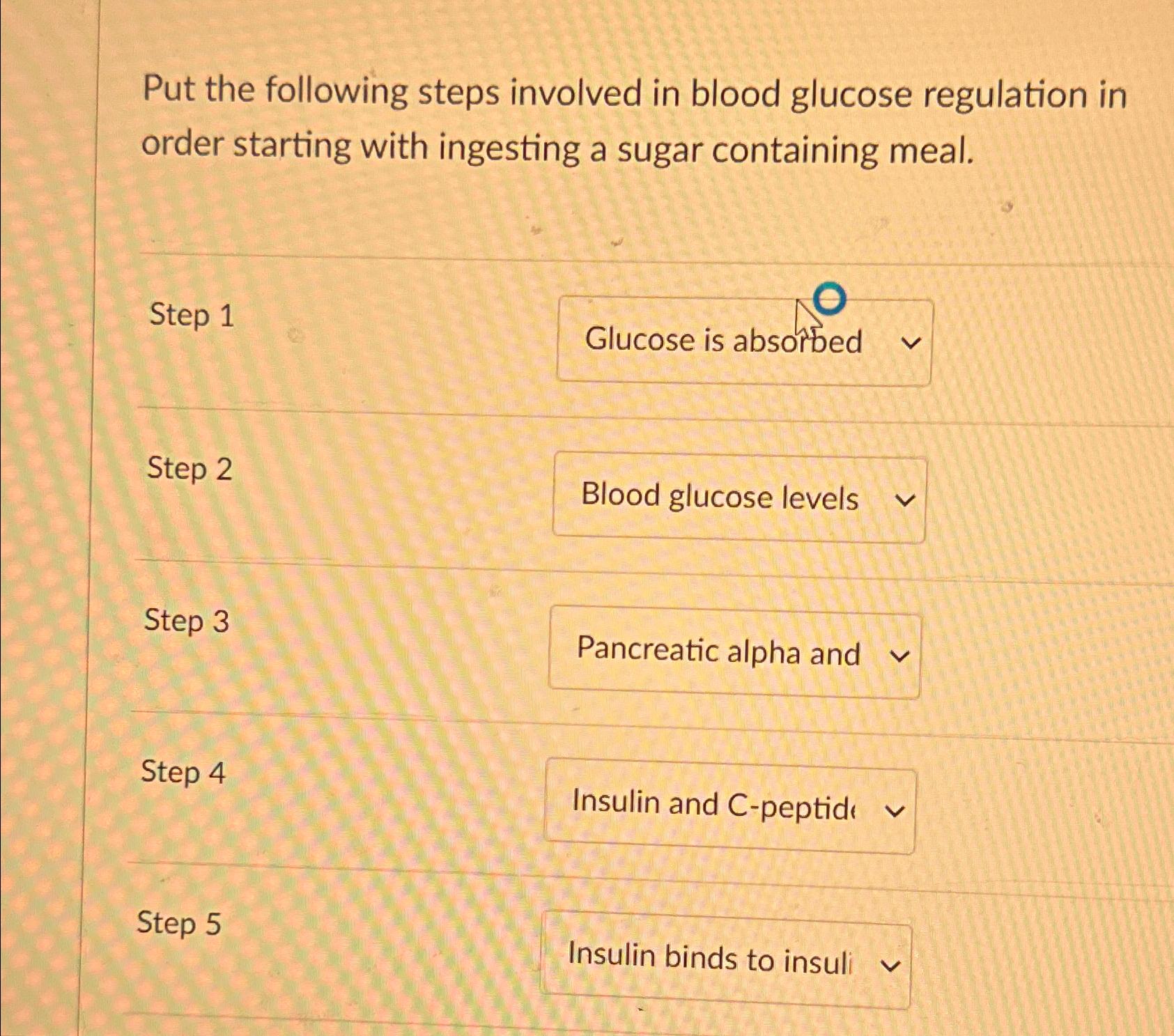 Solved Put the following steps involved in blood glucose | Chegg.com