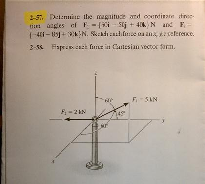 Solved Determine the magnitude and coordinate direction | Chegg.com