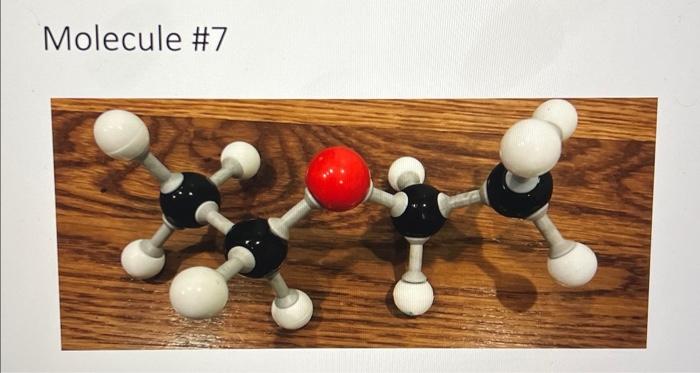 Solved Molecule \#1 Molecule \#5 Molecule | Chegg.com