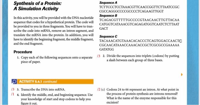 Solved ACTIVITY SA1 Synthesis of a Protein A Simulation | Chegg.com
