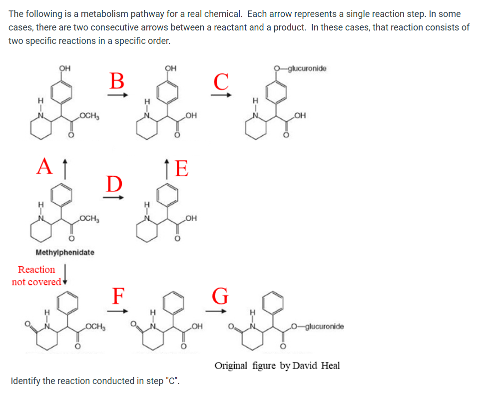 Solved The following is a metabolism pathway for a real | Chegg.com