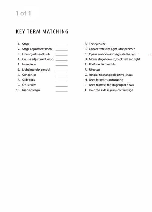 Solved 1 of 1 KEY TERM MATCHING 1. Stage 2. Stage adjustment | Chegg.com