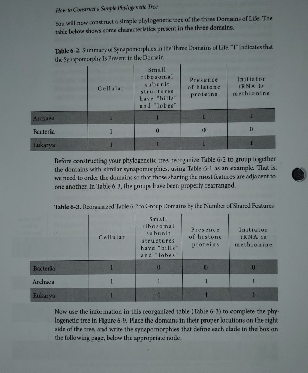 Solved How to Construct a Simple Phylogenetic Tree You will | Chegg.com