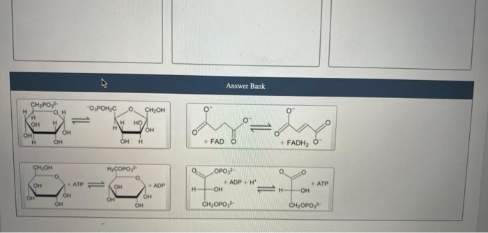 Solved Classify each metabolic reaction as an | Chegg.com