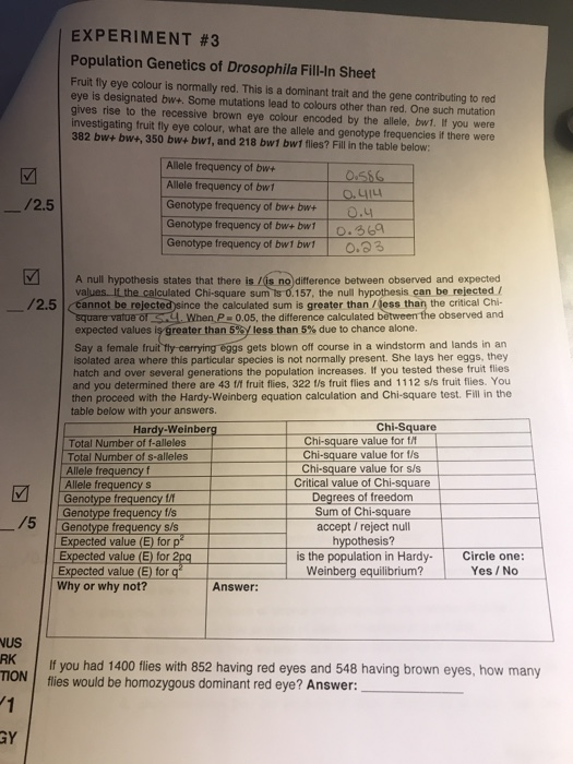 Solved EXPERIMENT #3 Population Genetics of Drosophila | Chegg.com