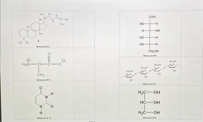 Solved BIOCHEMICAL MOLECULES - STRUCTURE AND FUNCTION ENTER | Chegg.com