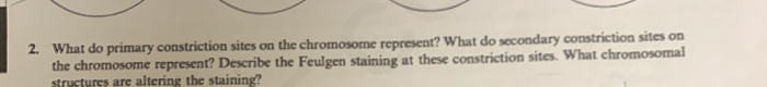 Solved 2. What do primary constriction sites on the | Chegg.com