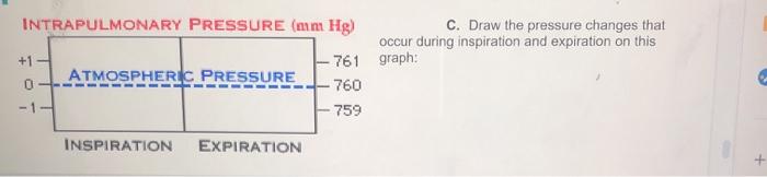 Solved INTRAPULMONARY PRESSURE (mm Hg) C. Draw the pressure | Chegg.com