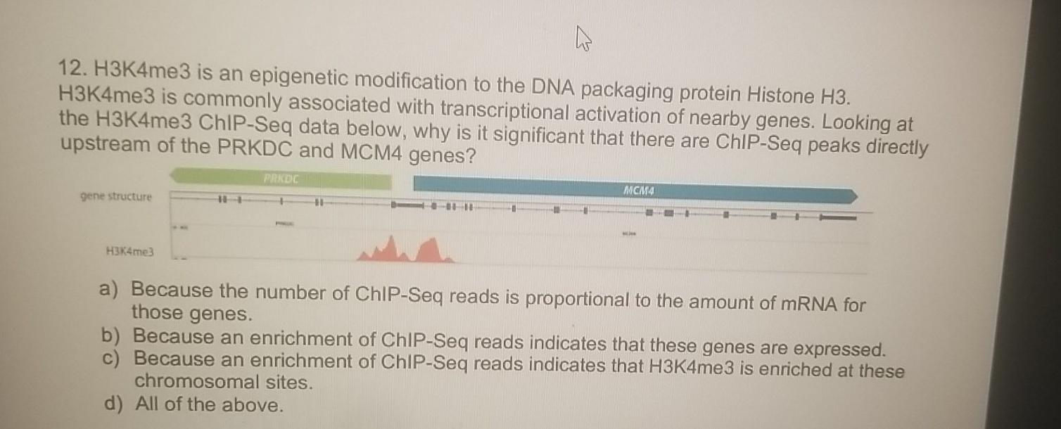 Solved 12. H3K4me3 is an epigenetic modification to the DNA | Chegg.com
