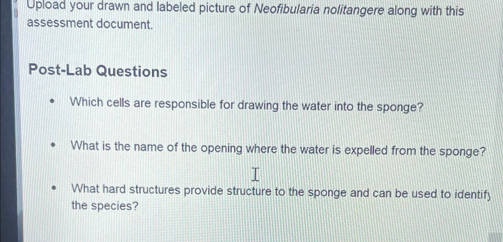 Solved Upload your drawn and labeled picture of Neofibularia | Chegg.com