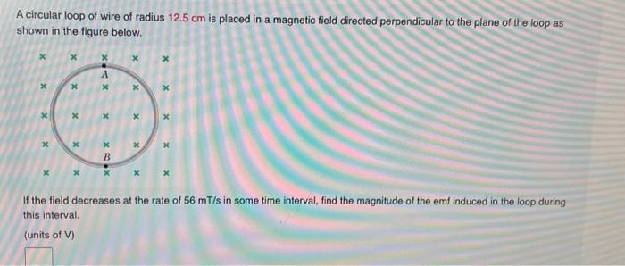 Solved A circular loop of wire of radius 12.5 cm is placed | Chegg.com