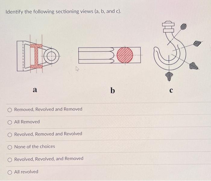 Solved Identify the following sectioning views (a, b, and | Chegg.com