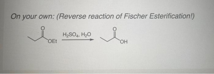 Solved On your own: (Reverse reaction of Fischer | Chegg.com