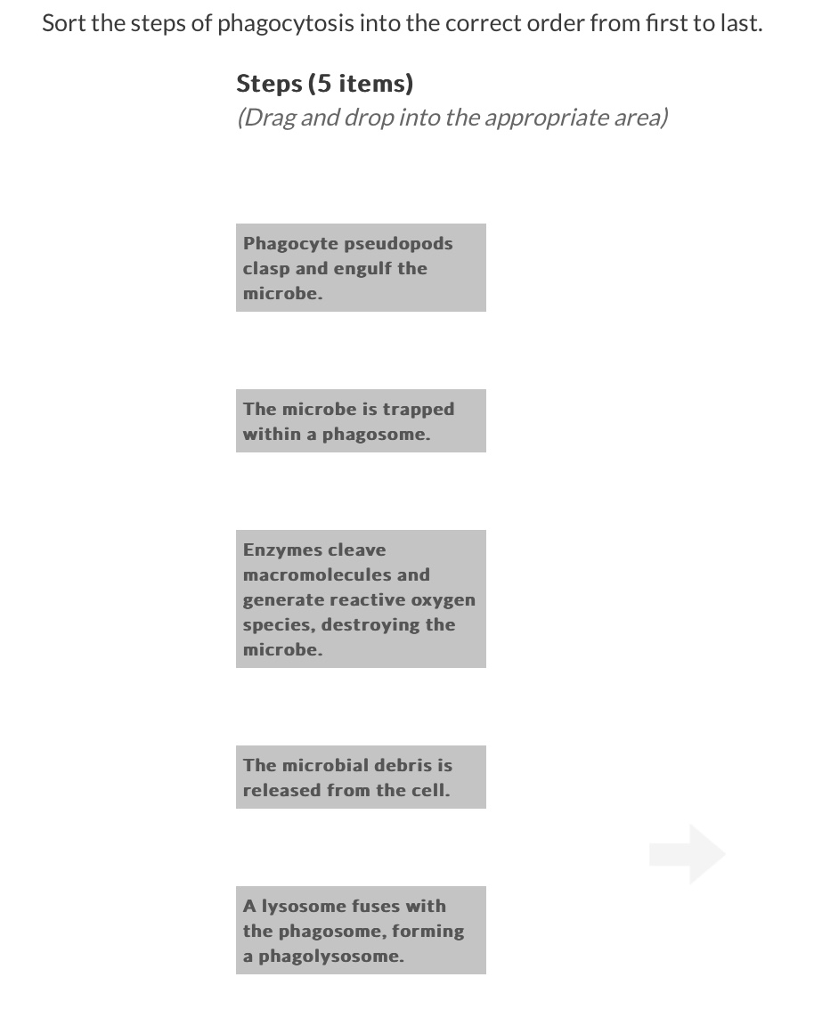 Solved Sort the steps of phagocytosis into the correct order | Chegg.com