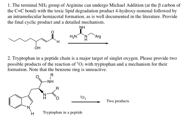 Solved The terminal NH2 ﻿group of Arginine can undergo | Chegg.com