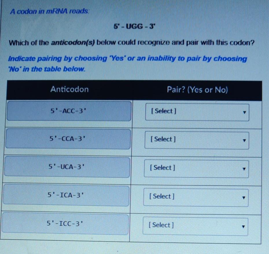 Solved A codon in mRNA reads 5 - UGG -3 Which of the | Chegg.com