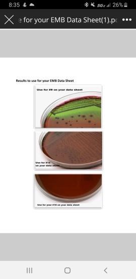 8:35 * 562 26% x for your EMB Data Sheet(1).p Results | Chegg.com