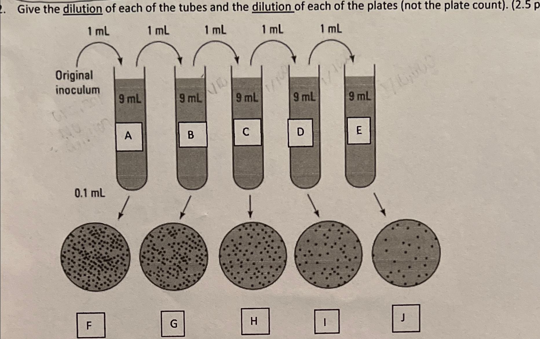 Solved Give the dilution of each of the tubes and the | Chegg.com
