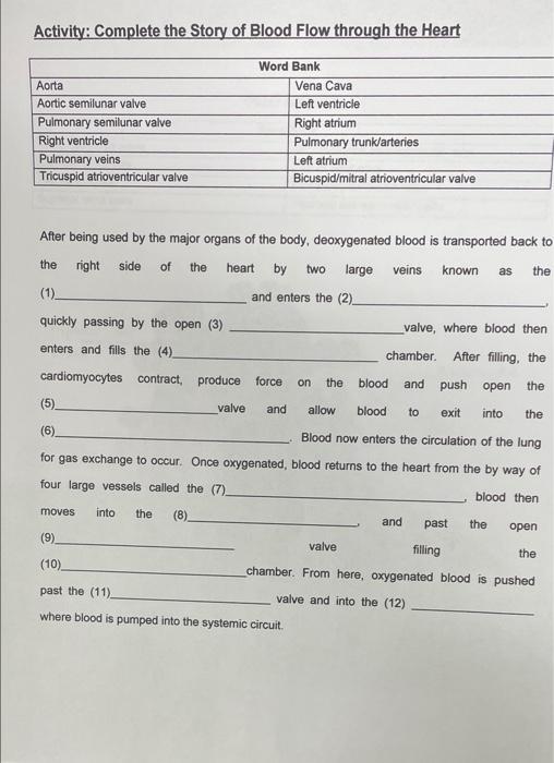 Solved Activity: Complete the Story of Blood Flow through | Chegg.com