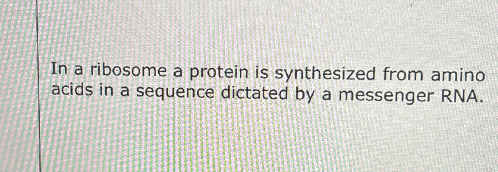 Solved In a ribosome a protein is synthesized from amino | Chegg.com