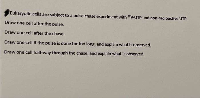 Solved Eukaryotic cells are subject to a pulse chase | Chegg.com