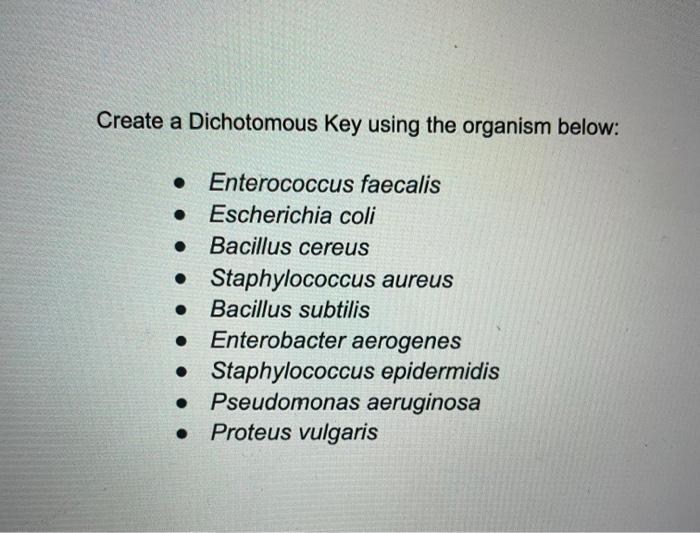 Solved Create a Dichotomous Key using the organism below: . | Chegg.com