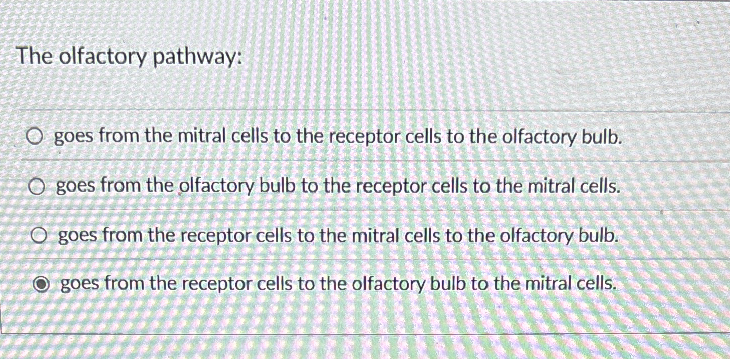 Solved The olfactory pathway:goes from the mitral cells to | Chegg.com