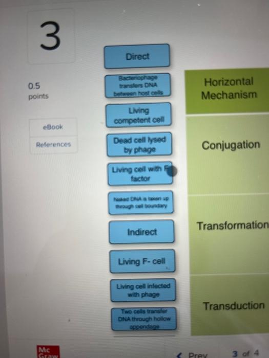 Solved Bacterial Genetics Conjugation Transformation | Chegg.com