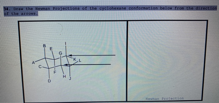 Solved 34. Draw the Newman Projections of the cyclohexane | Chegg.com