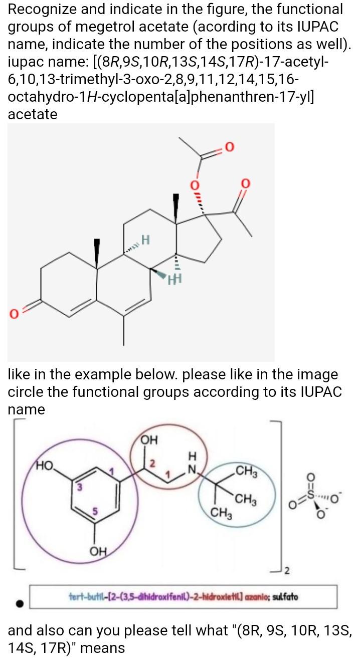 Solved Recognize and indicate in the figure, the functional | Chegg.com
