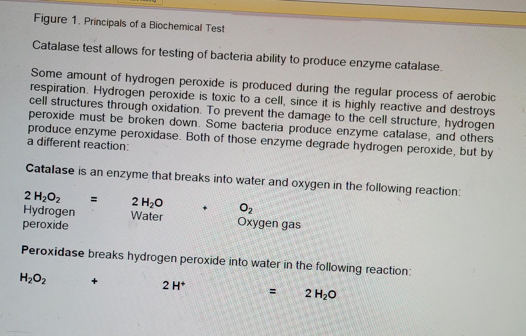 Catalase test is the first one biochemical test you | Chegg.com