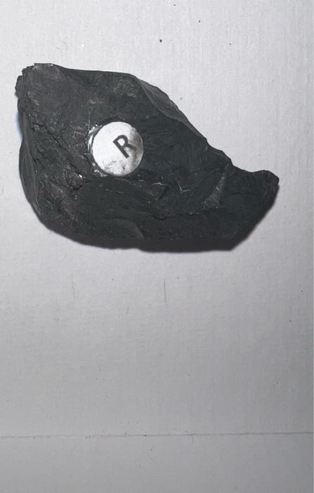 Solved 2000( )1. A possible protolith for Sample M is: a. | Chegg.com