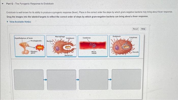 Solved Endotoxin is well known for its ability to produce a | Chegg.com