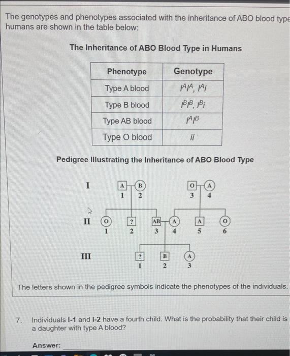 Solved The genotypes and phenotypes associated with the | Chegg.com