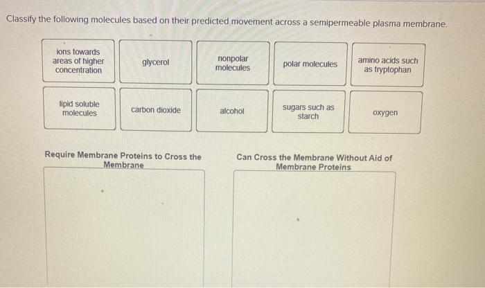 Solved Classify the following molecules based on their | Chegg.com Solved Classify the following molecules based on their | Chegg.com