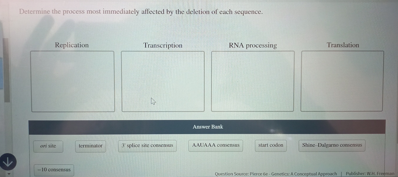 Solved Determine the process most immediately affected by | Chegg.com