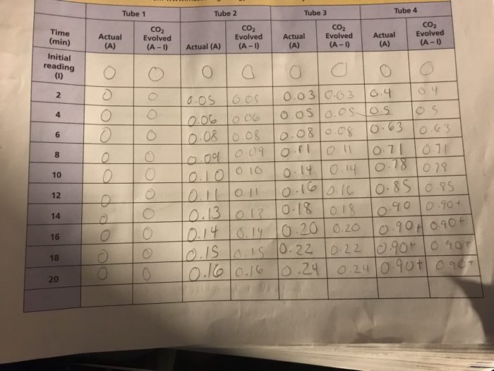 Solved Alcoholic fermentation in yeast experiment. the graph | Chegg.com