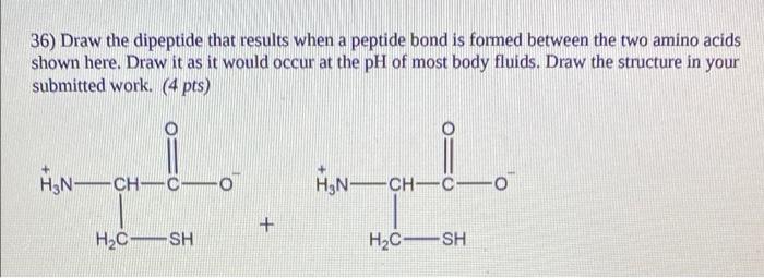 Solved 36) Draw the dipeptide that results when a peptide | Chegg.com
