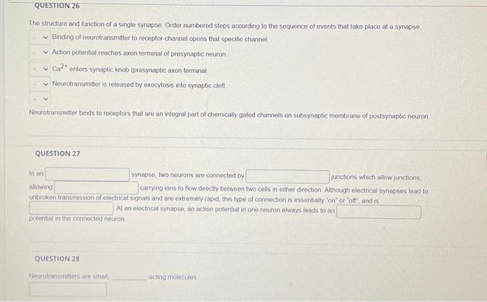 Solved The structure and function of a single synapse. Order | Chegg.com