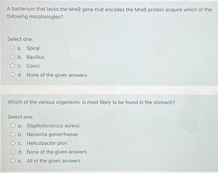 Solved A bacterium that lacks the MreB gene that encodes the | Chegg.com