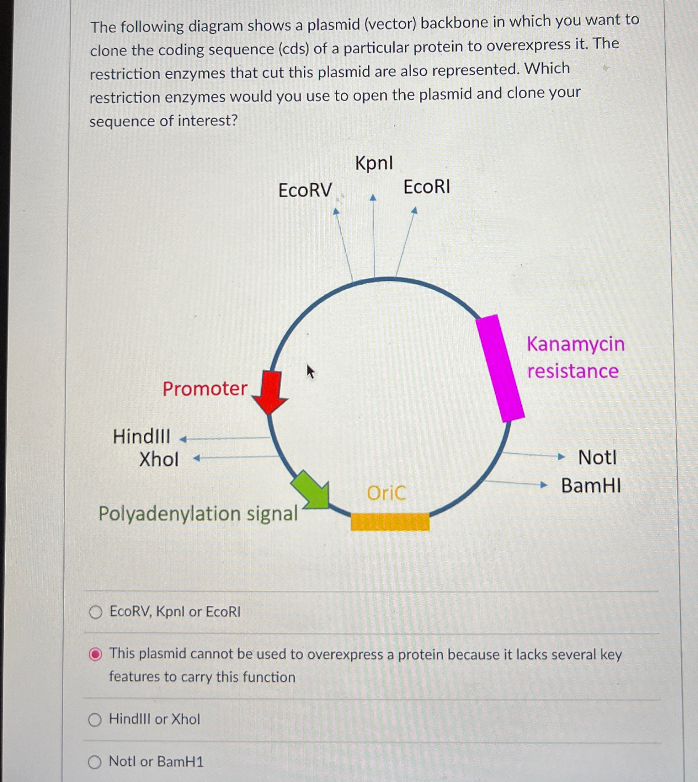Solved The following diagram shows a plasmid (vector) | Chegg.com