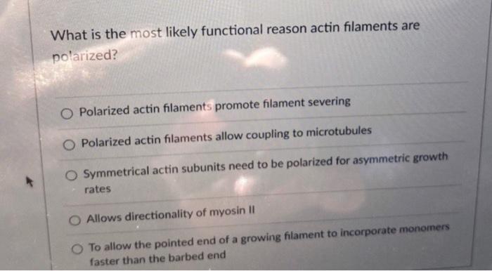 Solved What is the most likely functional reason actin | Chegg.com