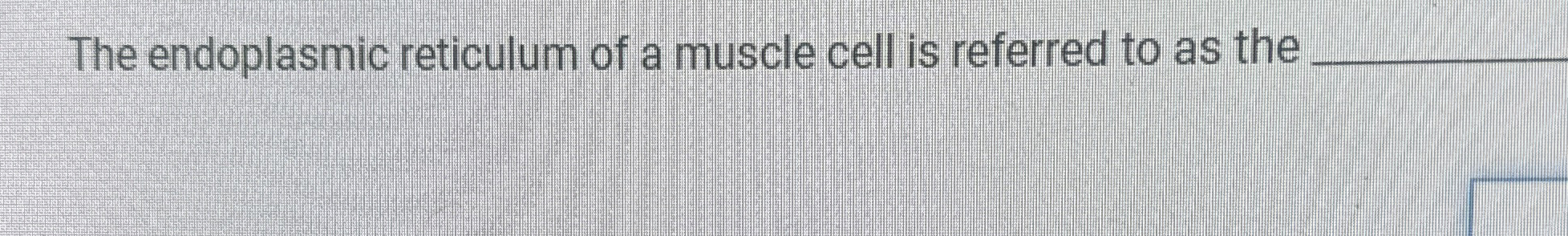 Solved The endoplasmic reticulum of a muscle cell is | Chegg.com