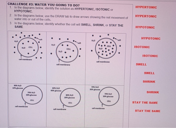 Solved HYPERTONIC CHALLENGE #3: WATER YOU GOING TO DO? 1. In | Chegg.com
