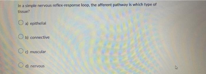 Solved In a simple nervous reflex-response loop, the | Chegg.com